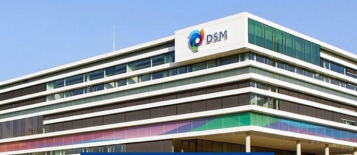 DSM: 15 vagas para programa de estágio na empresa